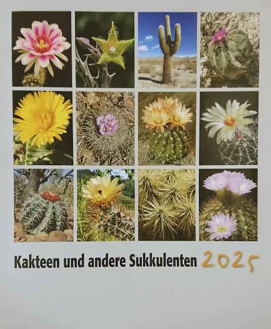 Kakteen Haage | Der Wunderbare KuaS-Kalender 2025 | online kaufen