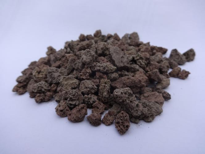 Kakteen Haage | Lavalit 2-8 mm - 20 l Erdbox | online kaufen